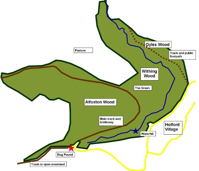 Wildlife Woodlands – Woodlands for Sale: Holford Woods, Somerset